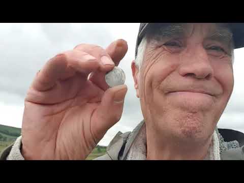 Well Detected Footpath DEEP SILVER Manticore, Lets Hope for more Coins & Artifacts