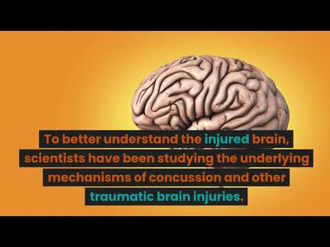 understanding the injured brain