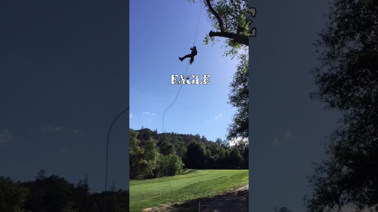 Golf course tree job