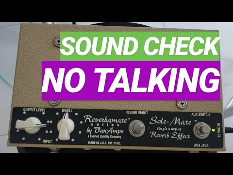 VanAmps Sole-Mate spring reverb + PSU | Reverb