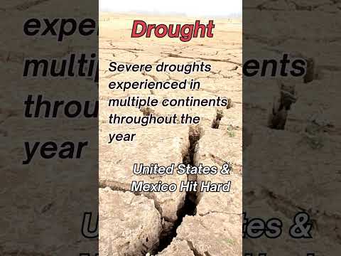 2024: A Review Of The Natural Events