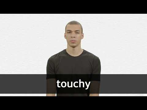 TOUCHY definition and meaning | Collins English Dictionary