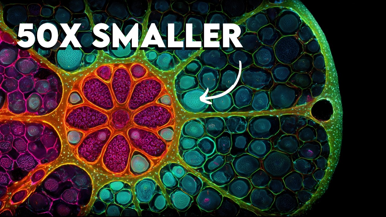 We Finally Know How Life Really Started