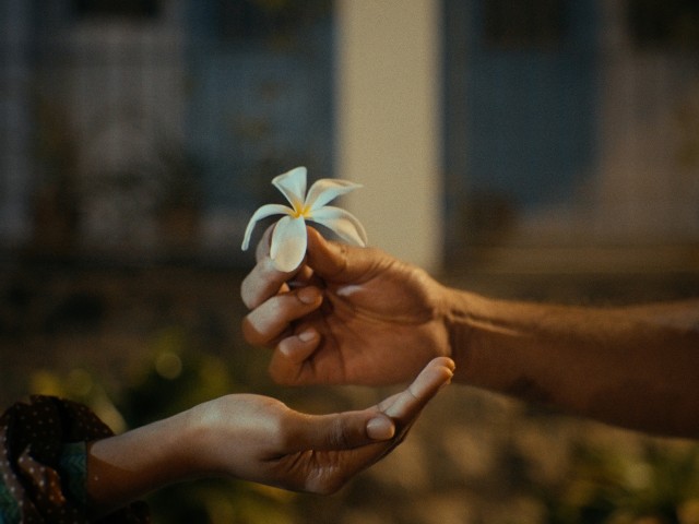 Frangipani Lyrics English Translation - Kaber Vasuki - LyricsDecoder