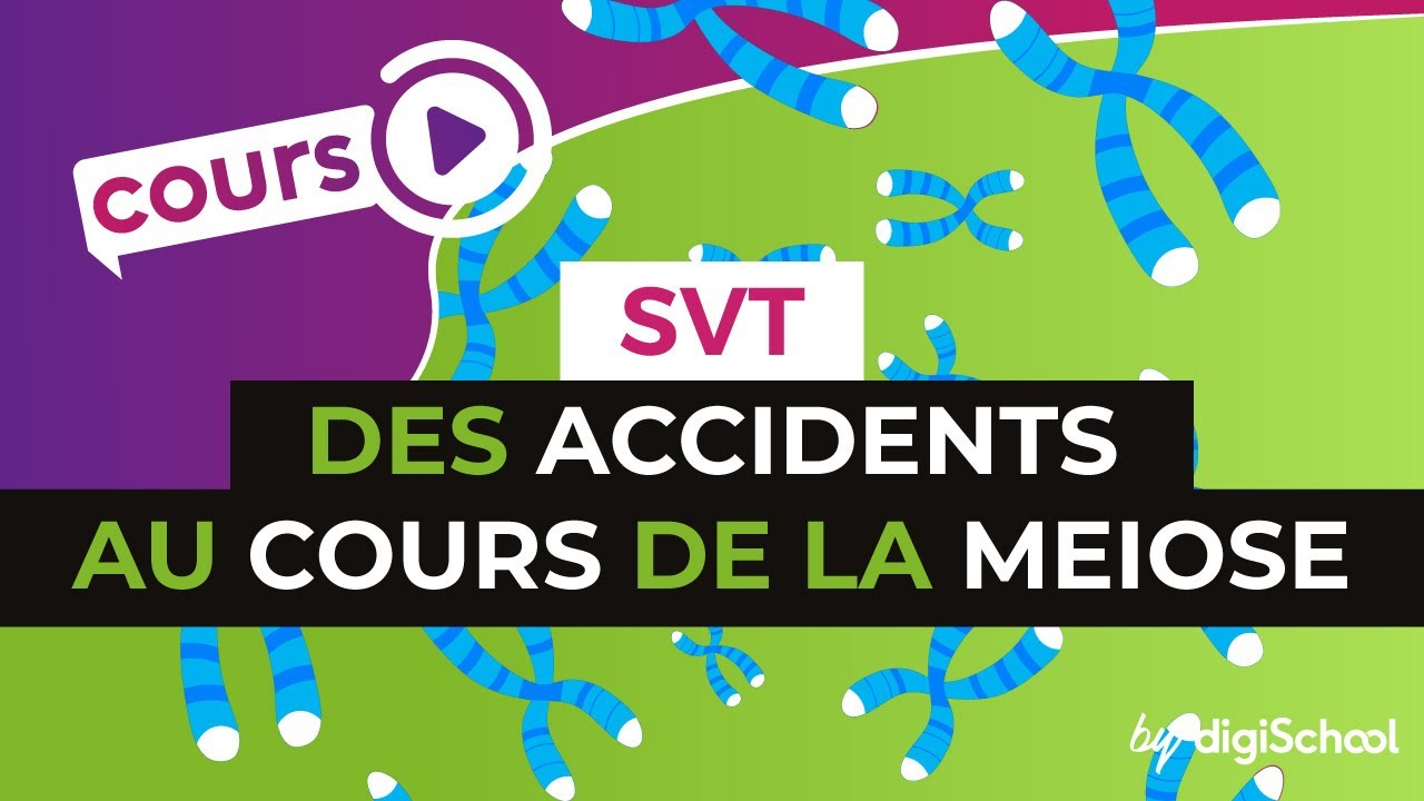 Accidents during meiosis - SVT - TS - digiSchool
