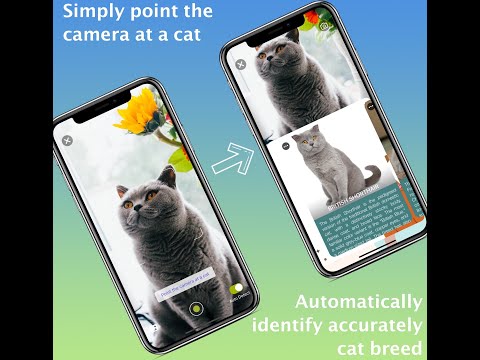 Cat Scanner - Kitty Identifier - Find Your Cat Breed (Find The Origin Of Cats By Your iPhone)