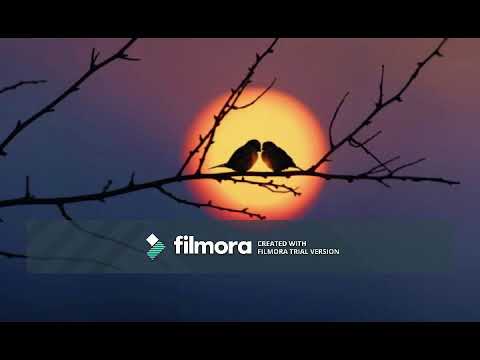 Love Poem [Video Reading] | Words of a Feather