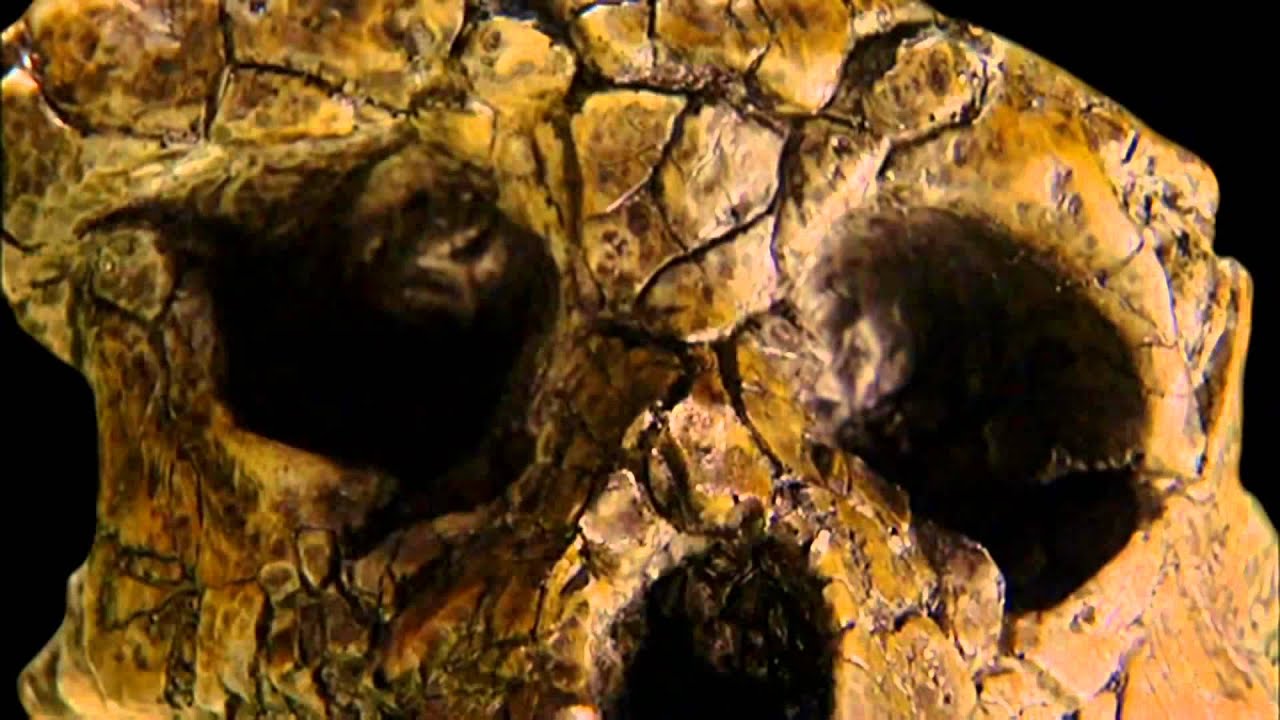 Becoming Human First Steps HD