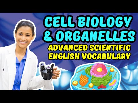 Improve Your Scientific English: Discover Biology & Organelles Vocabulary!