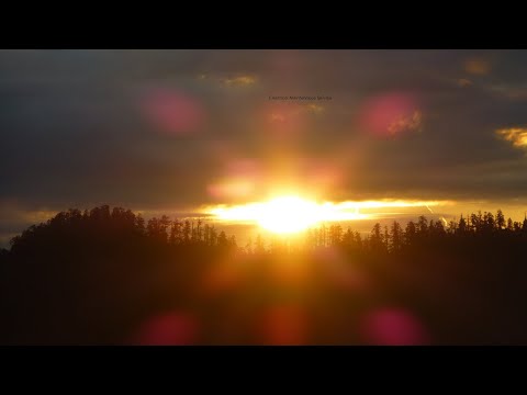 Video Client Feedback | Mindful Therapy Testimonial #1