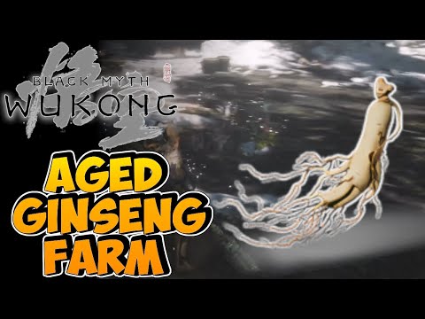 Aged Ginseng Farm Guide - Black Myth Wukong