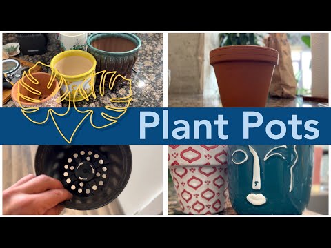 Plants with Kevin • Which Pots Are Best For Your Houseplants? ????