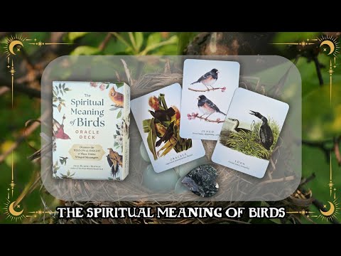 The Spiritual Meaning of Birds Oracle