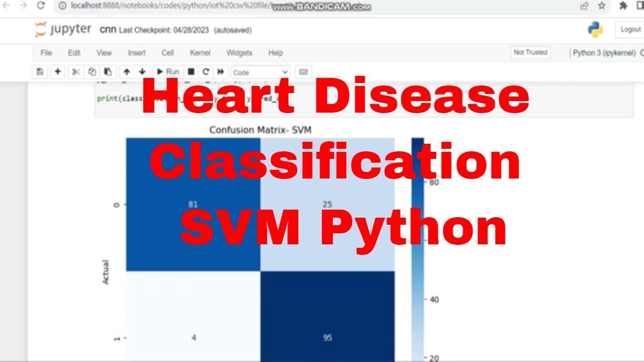 Heart Classification SVM Scratch Python Code / Support Vector Machine (SVM) Scratch Python Code