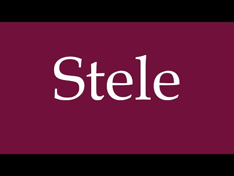 How to Pronounce ''Stele'' (Central cylinder) Correctly in German