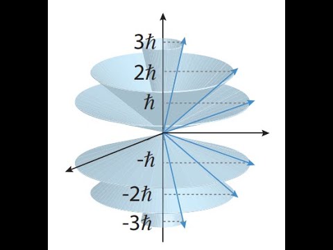 Quantization of Angular Momentum of the Electron in the Hydrogen Atom.