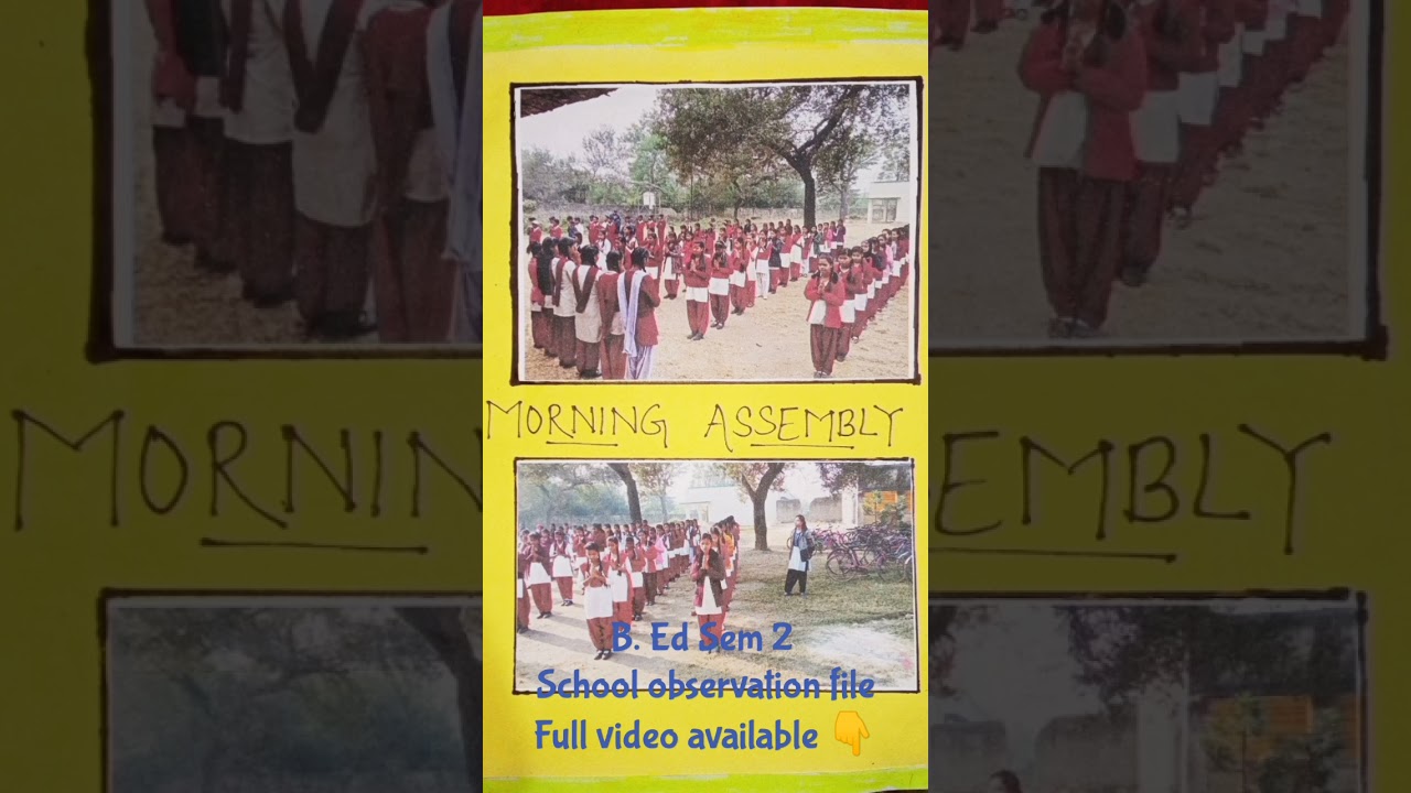 B. ed Semester 2 School Observation File