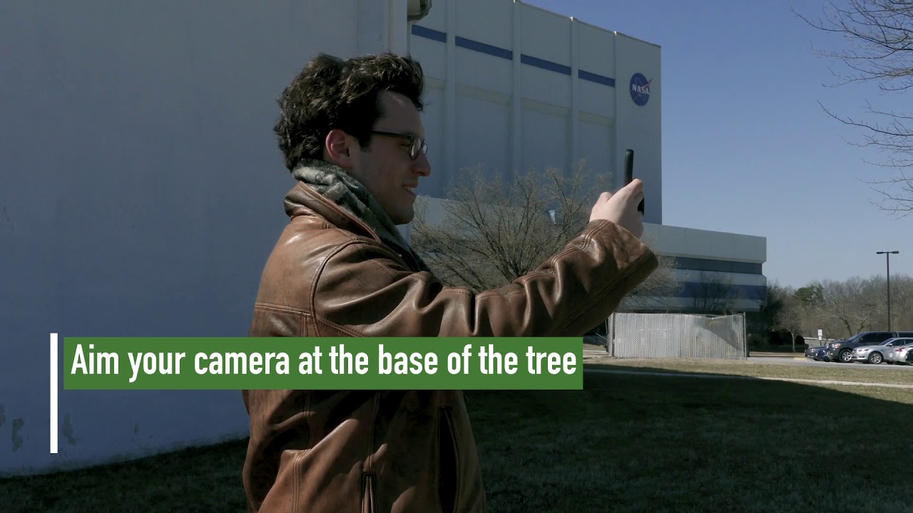 GLOBE Observer: Trees - Introduction