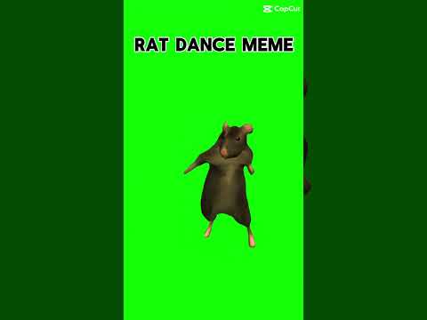 Rat Dancing Meme #funny #trending #memes #shorts #trendingshorts