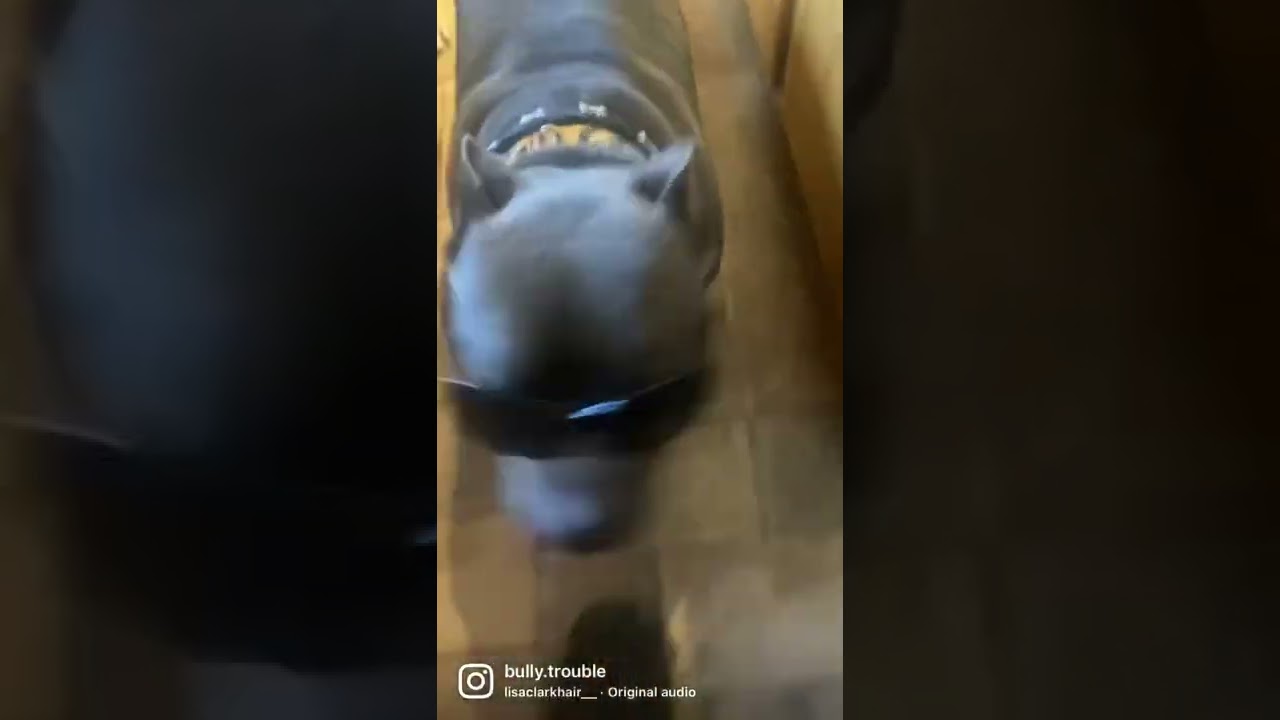 Kiki Minaj