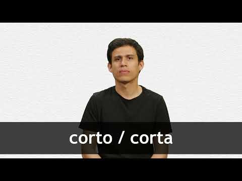 English Translation of “CORTA” | Collins Spanish-English Dictionary
