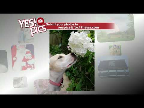 Yes! Pics: 10/10/18