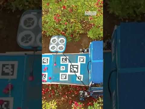 In general, apples are easier to pick just by shaking the tree 😆