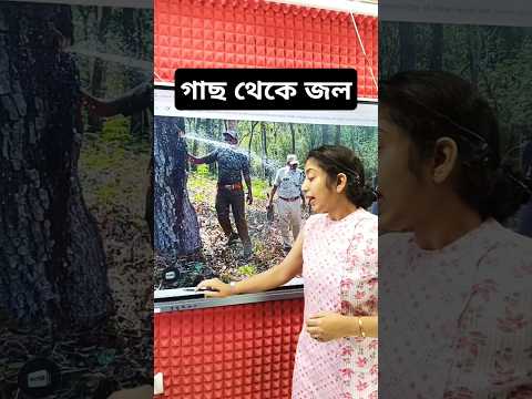 গাছ থেকে জল সংগ্রহ করে জীবন কাটায় একটি গ্রাম।। INDIAN LAUREL TREE II GEOGRAPHICAL FACT
