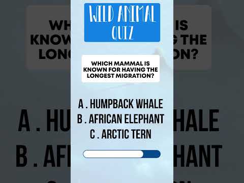 5 Tough Wild Animal Quiz Questions! 🦁🦓