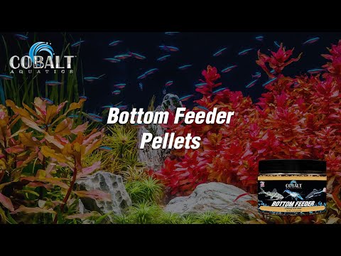 Cobalt Bottom Feeder Pellets