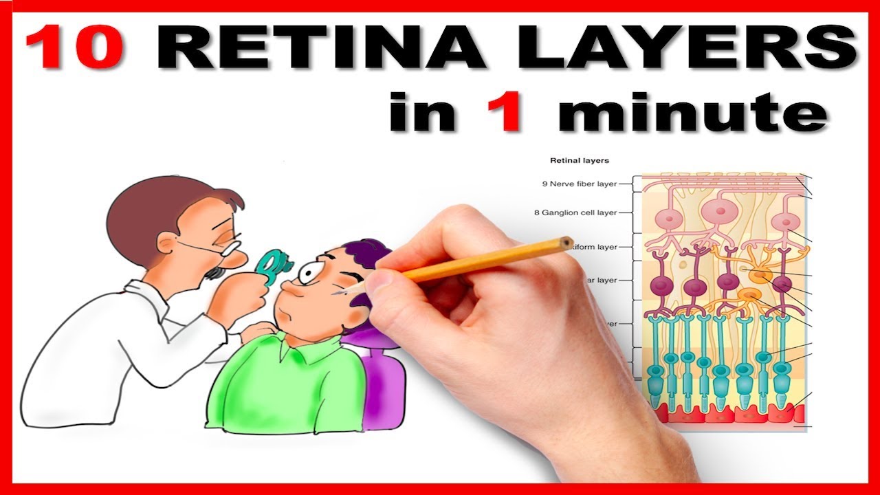 Retinal Layers in 1 minute / Mnemonic series # 13