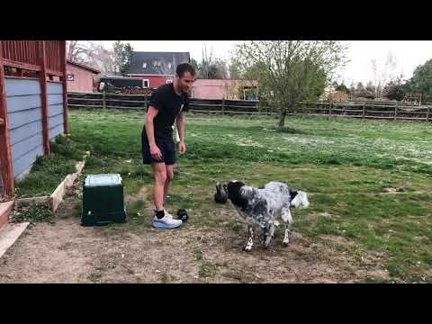 YouTube Workouts | YouTube Workouts for Runners