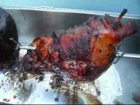 Now that's a SPITROAST!!