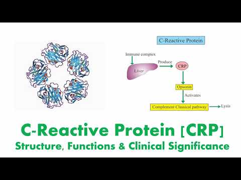 C-Reactive Protein [CRP]: Structure, Functions, Clinical Significance & Blood Test Methods of CRP