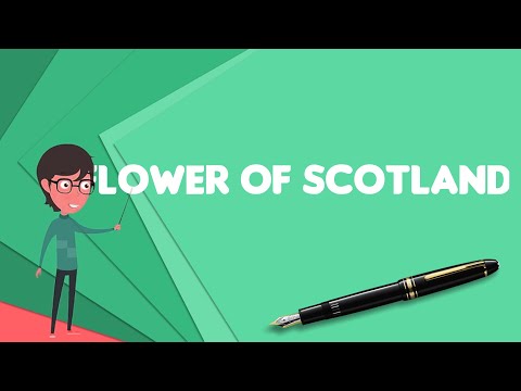 What is Flower of Scotland?, Explain Flower of Scotland, Define Flower of Scotland