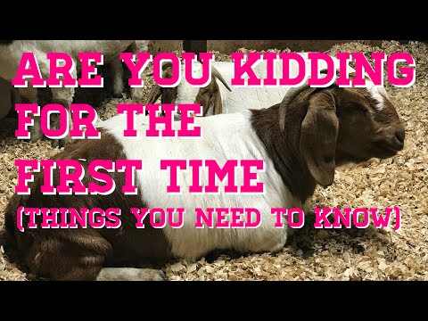 Things To Know When Kidding Goats Out For The First Time. (boer Goats) (clear creek farms)