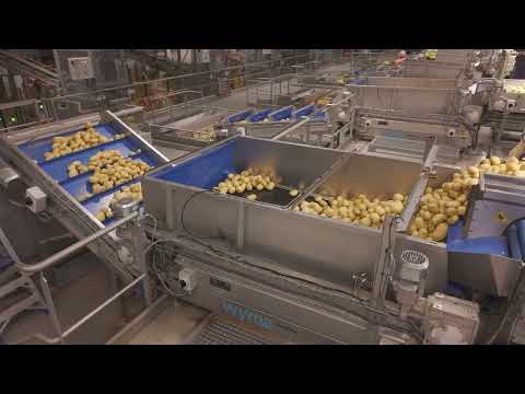 Maximise Potato Processing Efficiency