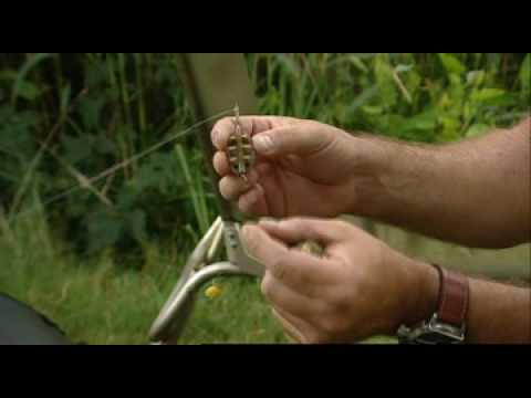 Vis TV Tip Marco: speciale voerkorf