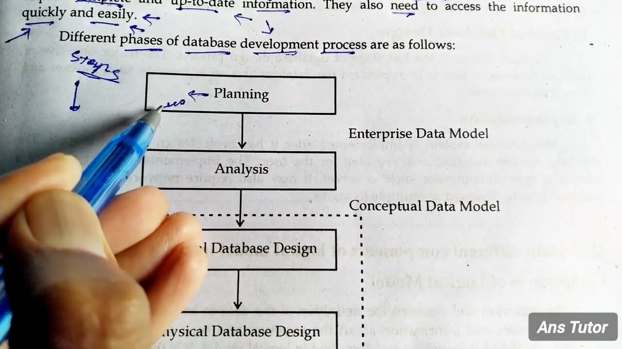 Database Design Process in DBMS | ics 12th Class Computer Science Chapter 3 #12thclass 