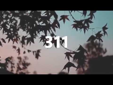 Angel Number 311 And What It Means For You