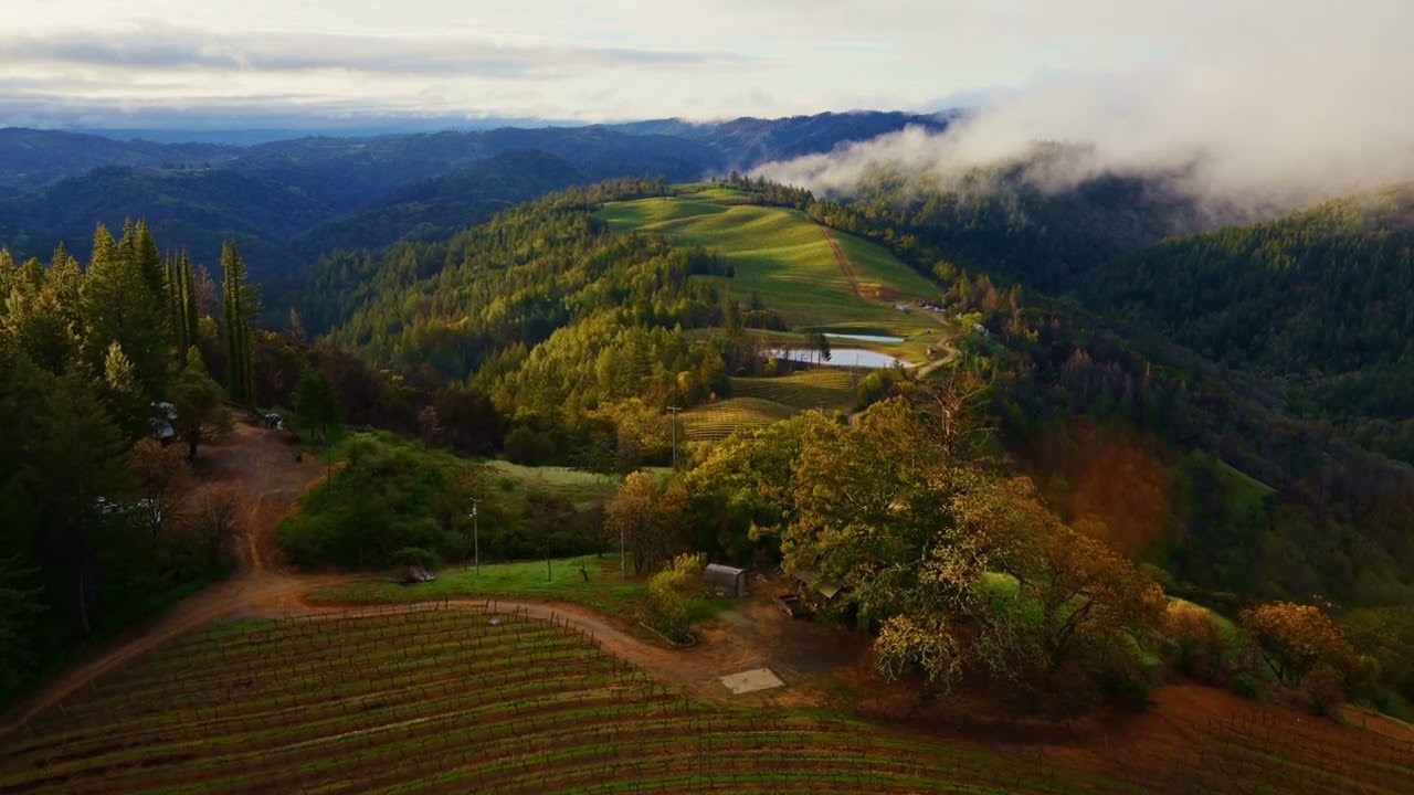 macOS Sonoma wallpaper/screensaver collection: the horizon of Sonoma