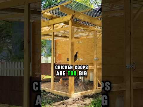 Is your chicken coop too big?