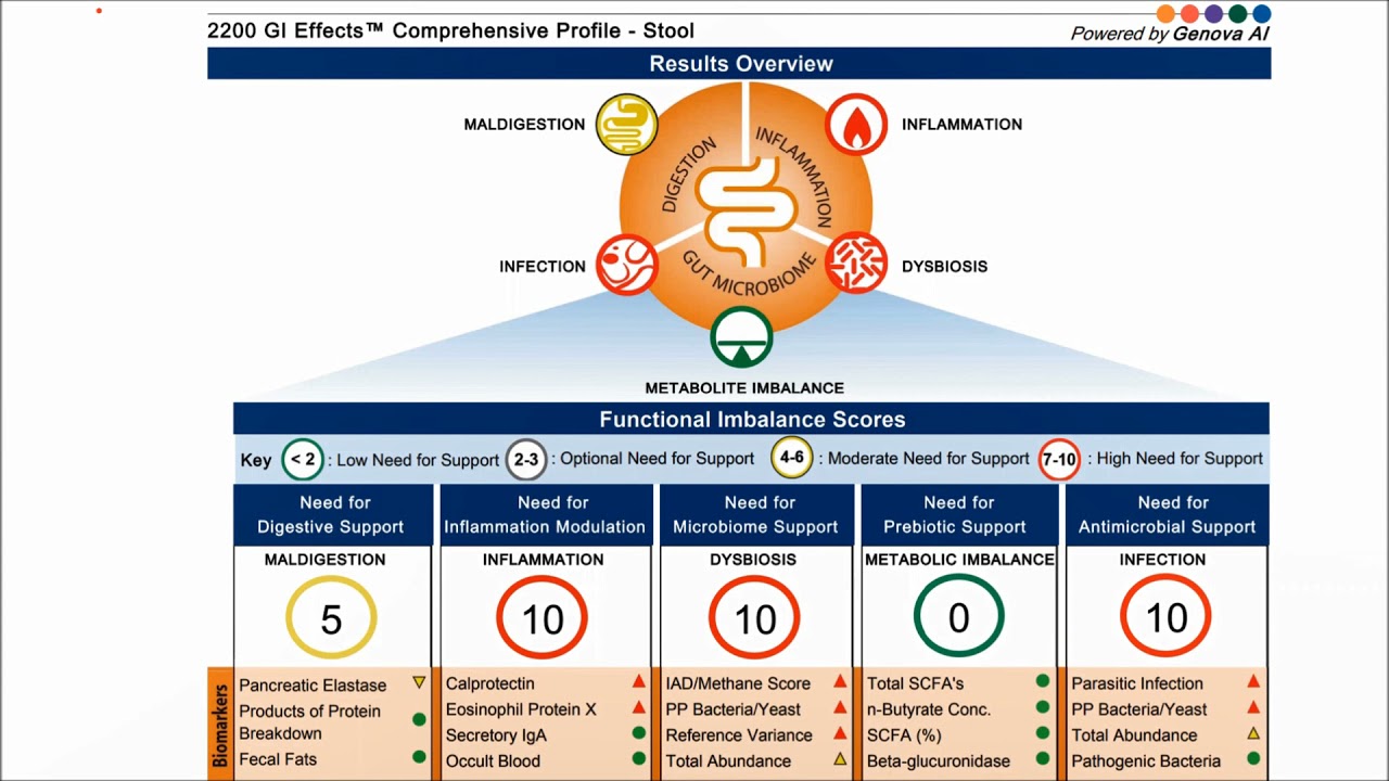 Typical Functional Medicine Labs