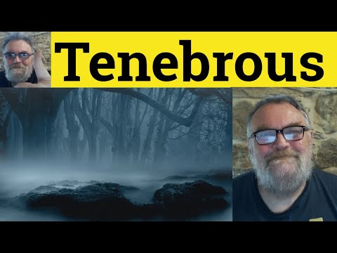 😎 Tenebrous Meaning - Tenebrous Defined - Tenebrous Examples Tenebrous Definition Literary Tenebrous