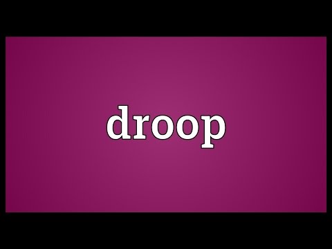 Droop Meaning