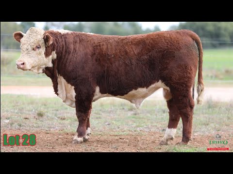 Lot 28 Truro Top End T077 (AI)(H)