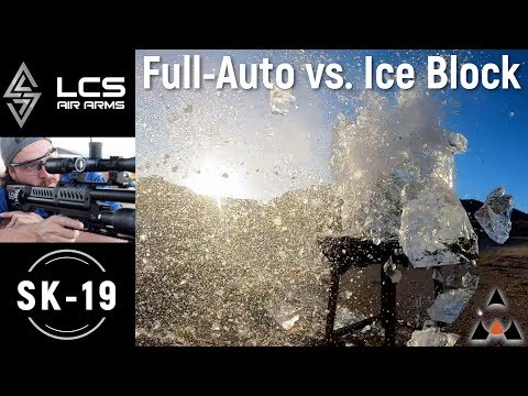 LCS Air Arms SK-19 Automatic .25 Air Rifle: Airguns of Arizona ...