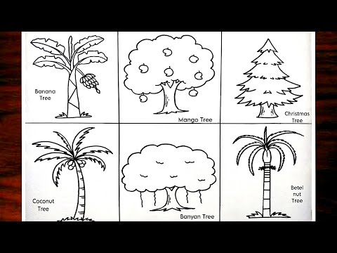 How To Draw Different Types Of Trees|Mango Tree,Banana Tree,Coconut Tree,Banyan Tree Line Drawing