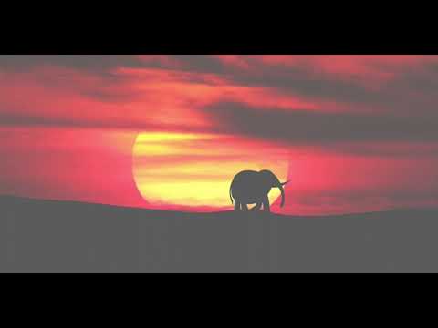 Steam Community :: Video :: Elephant Rave 2