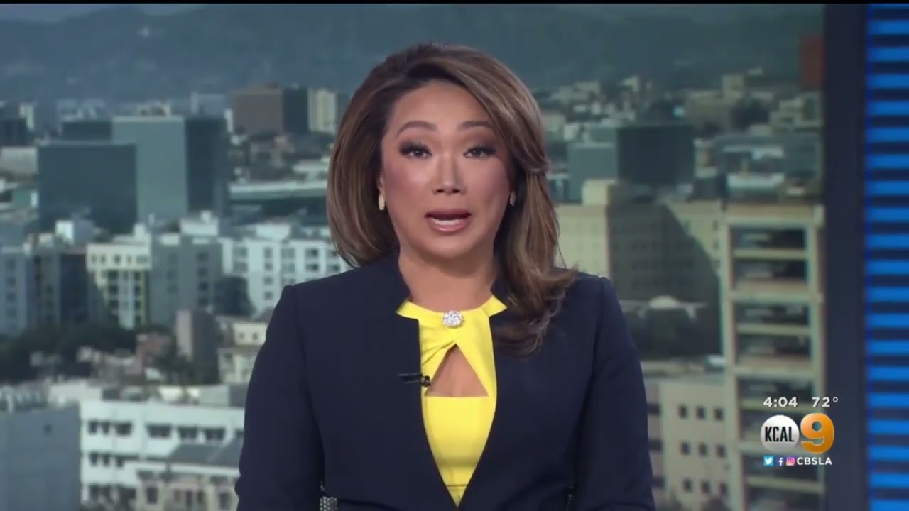 Indiana: News reports on racist attack feature Hamas-linked CAIR ...